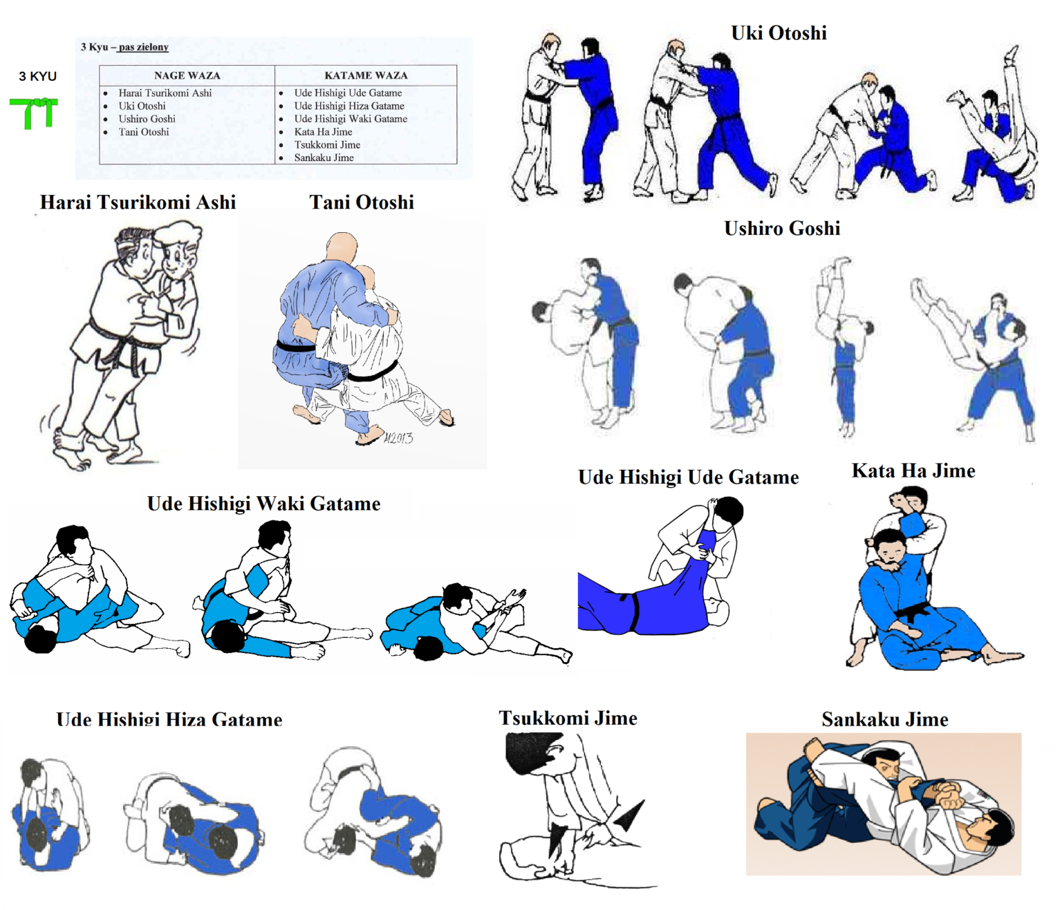 IPPON JUDO | KYU
